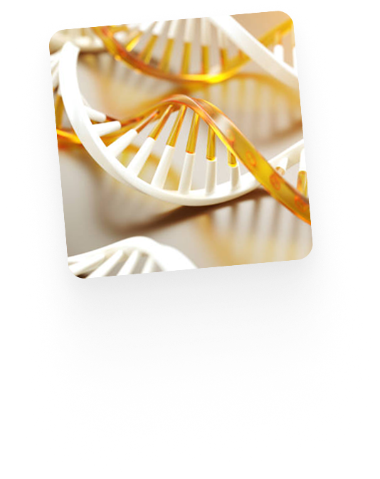 Genomac Innovation Hub